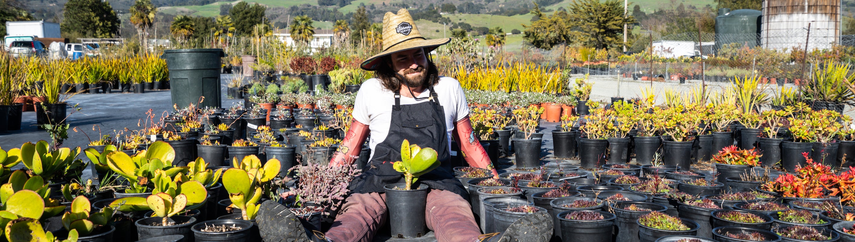 How to Make Container Gardening Work For You – Farmers Defense